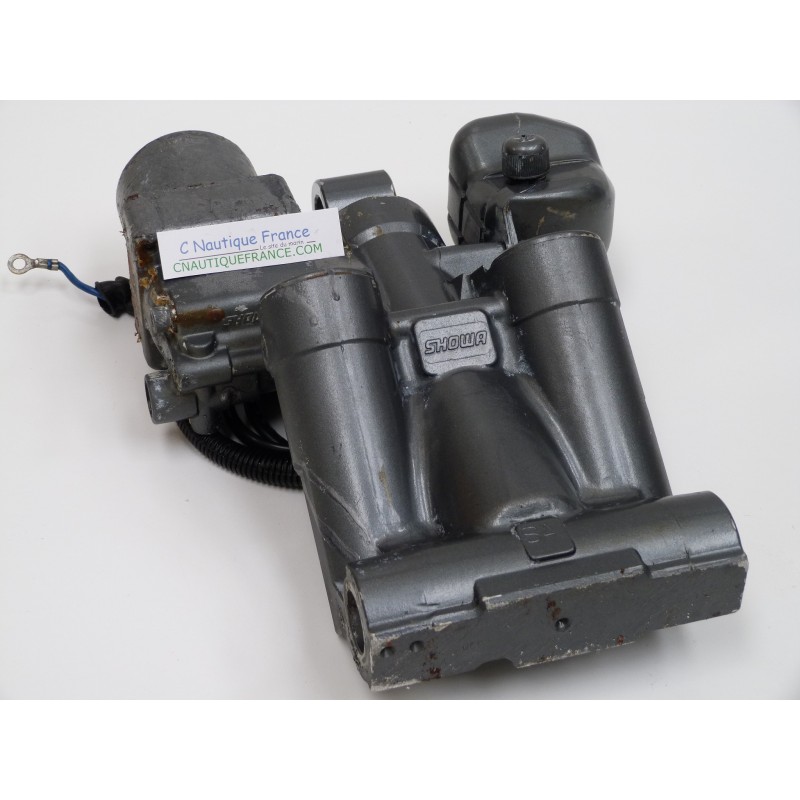DT50 POWER TRIM 50 HP 2T SHOWA SUZUKI