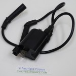 BOBINE60 - 70 CV 4T SUZUKI JOHNSON 99E F60 F70