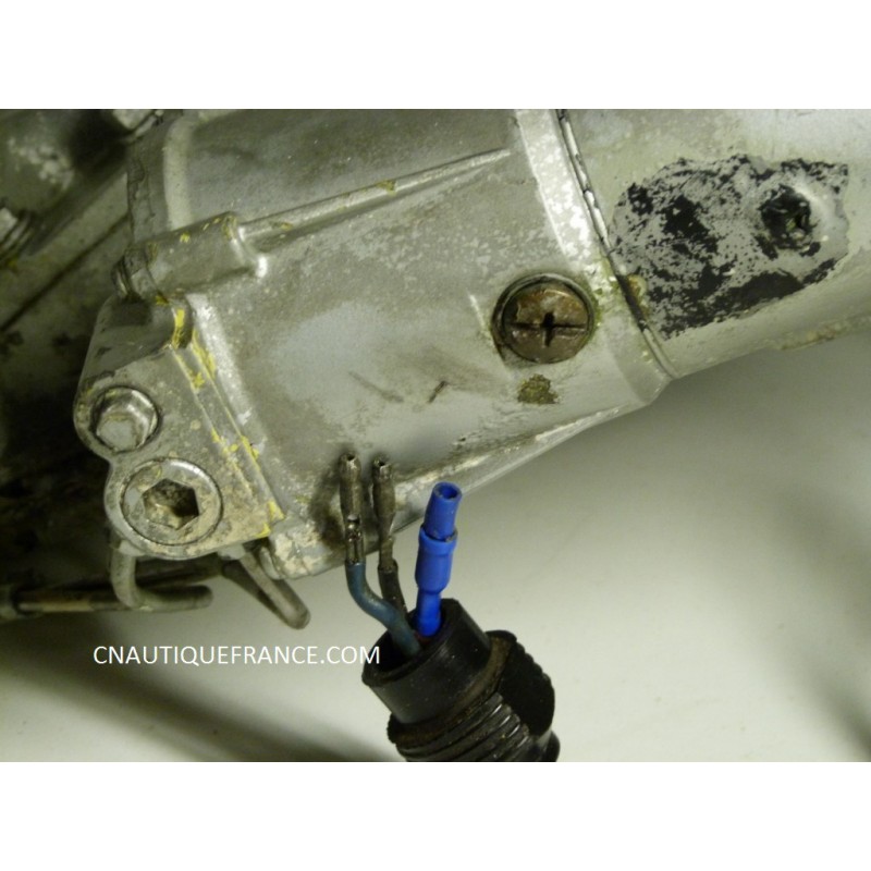 DT50 TRIM 50 CV 2T SUZUKI