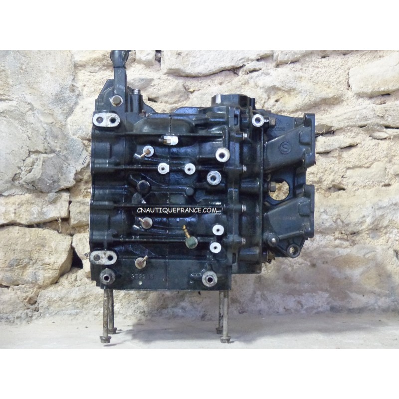 BLOCCO MOTORE 40 - 50 CV EVINRUDE E-TEC 5007396
