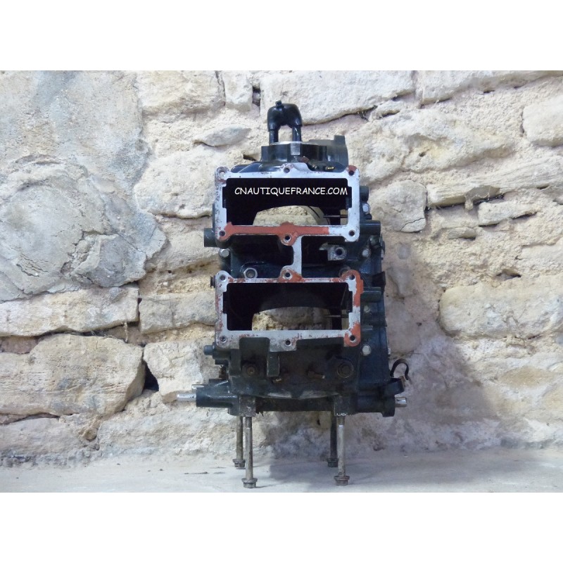 BLOCCO MOTORE 40 - 50 CV EVINRUDE E-TEC 5007396