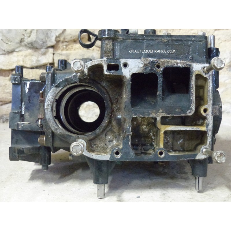 BLOCCO MOTORE 40 - 50 CV EVINRUDE E-TEC 5007396